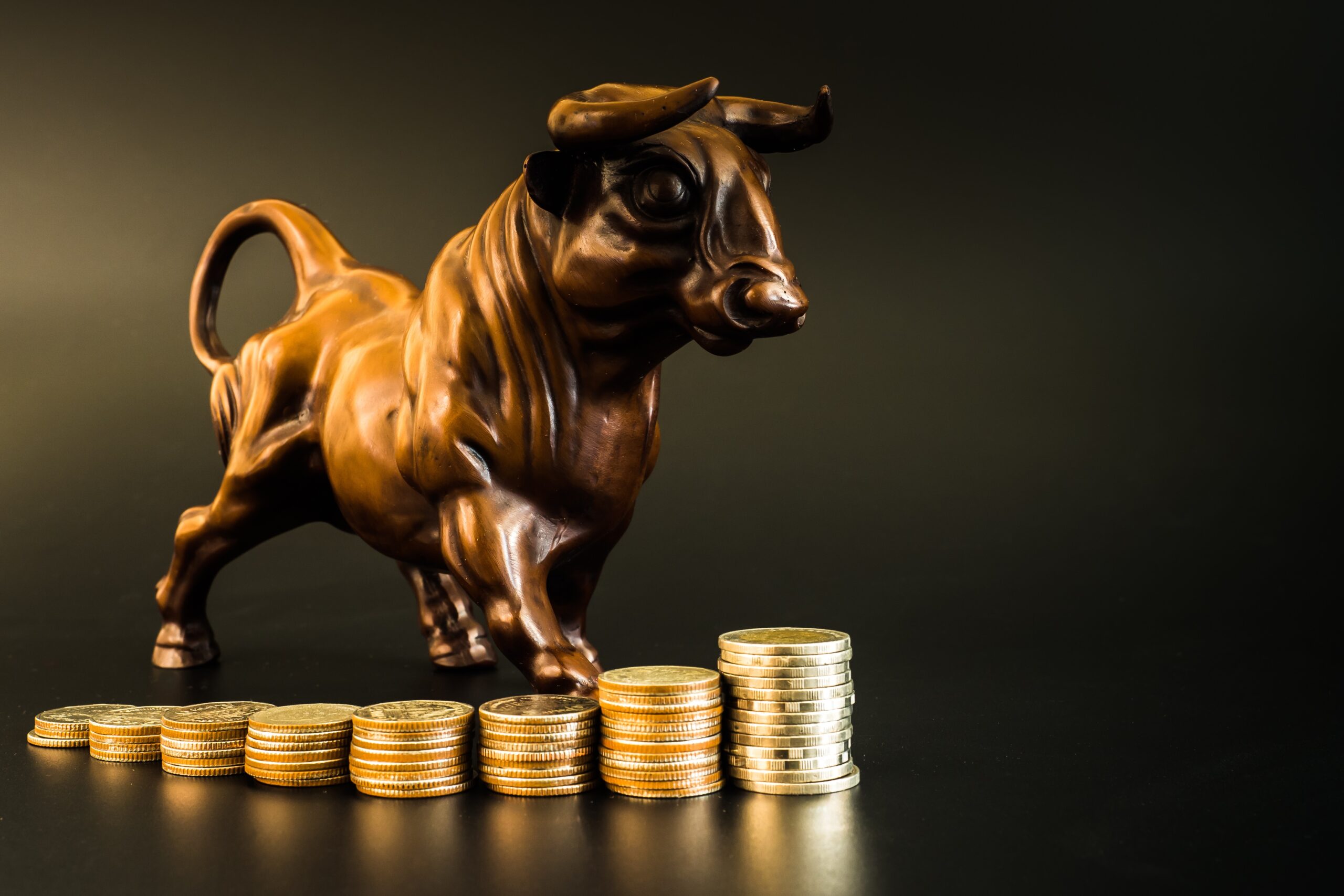 Don't Confuse Brains With a Bull Market - Sigma Investments